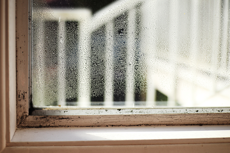 How to Tell if Your Windows Need to be Replaced | American Design and Build